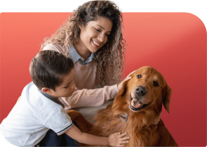 Get a home, auto, life, or business insurance quote | Rate.com