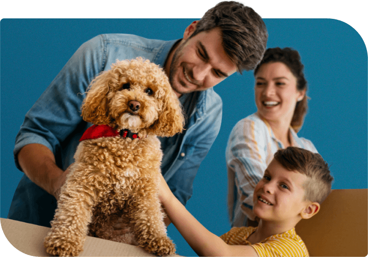 Get a home, auto, life, or business insurance quote | Rate.com