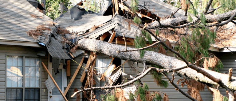 What is the difference between named peril versus open perils coverage ...